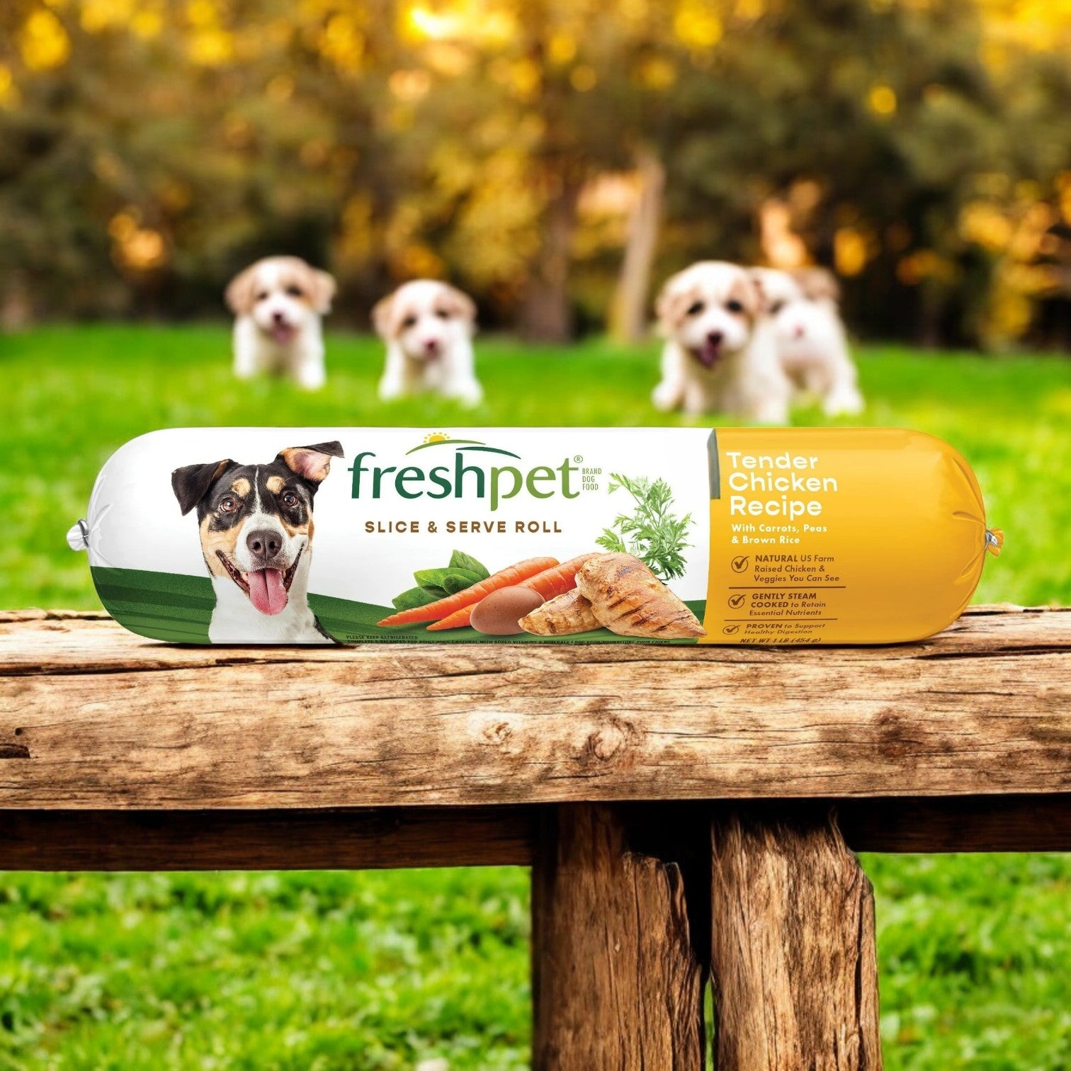 Freshpet Healthy & Natural Dog Food – Fresh Chicken Roll, 1 lb