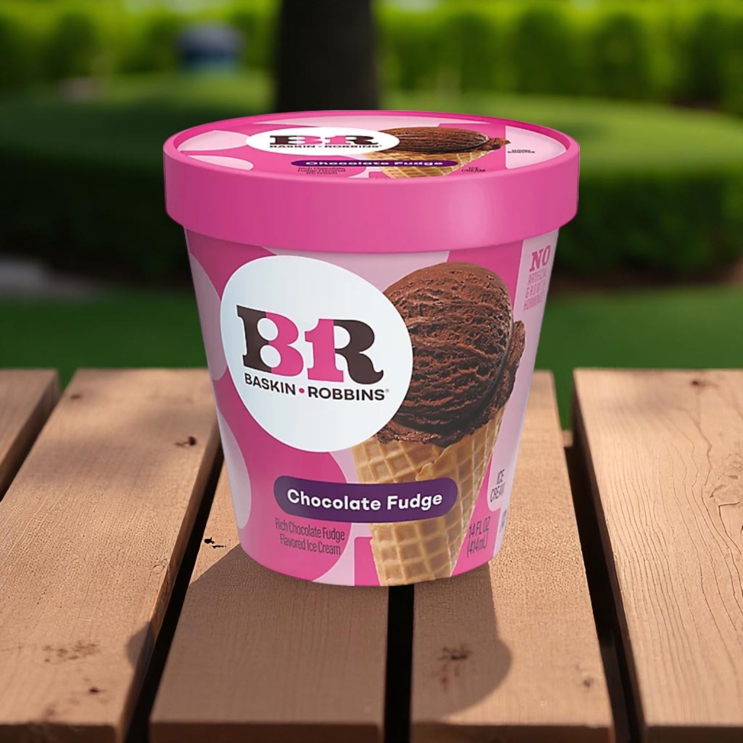 Baskin Robbins Ice Cream Chocolate Fudge 1 Container (14 oz)